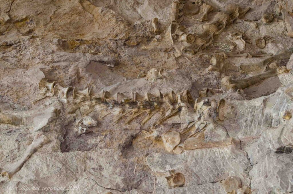 Dinosaur National Monument - HGMS - Houston Gem & Mineral Society
