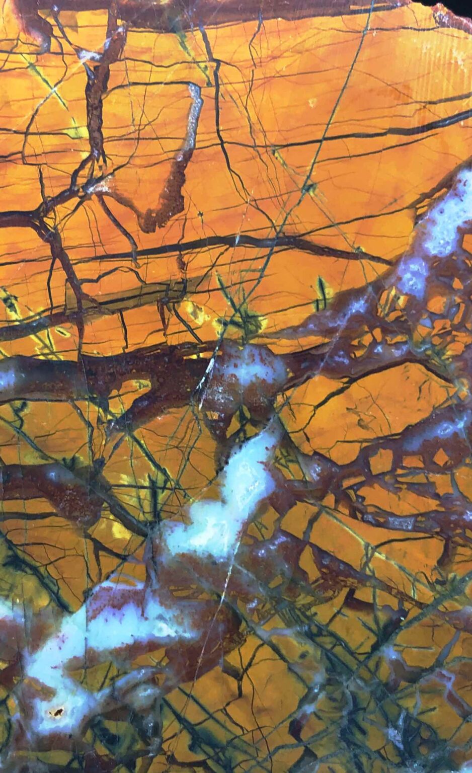 JASPER! - HGMS - Houston Gem & Mineral Society