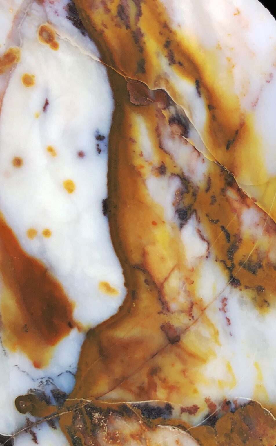 JASPER! - HGMS - Houston Gem & Mineral Society