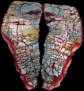 Jaspers of Nevada - HGMS - Houston Gem & Mineral Society