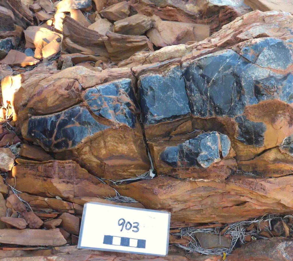 Backbenders Gazette August 2024 - HGMS - Houston Gem & Mineral Society