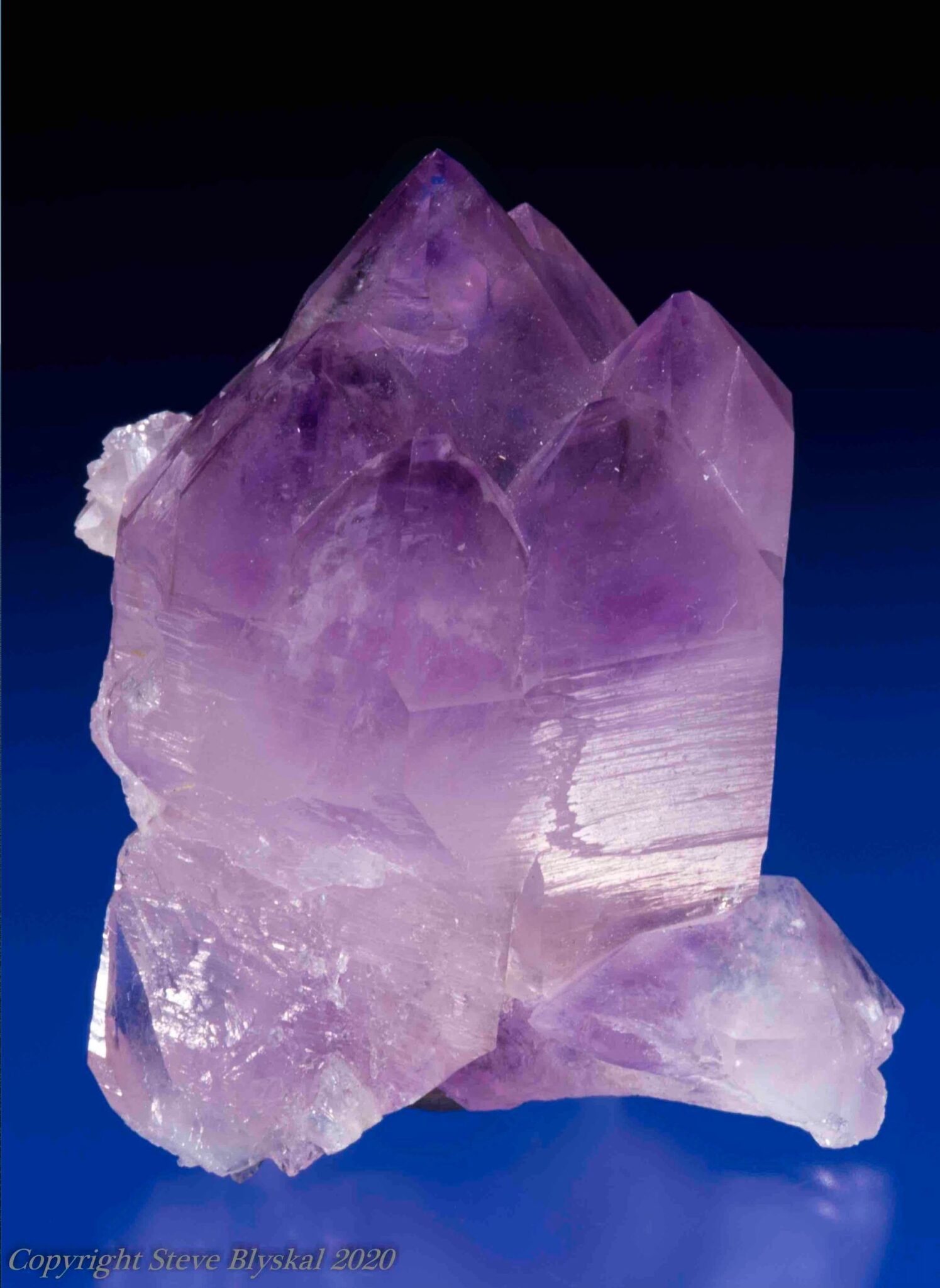 Backbenders Gazette February 2025 - HGMS - Houston Gem & Mineral Society